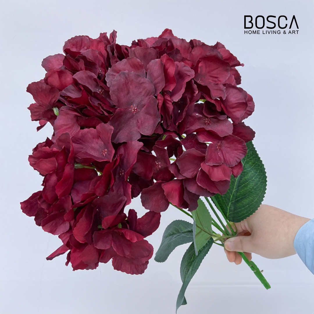 Harga Hydrangea Terbaru Maret 2024 |BigGo Indonesia